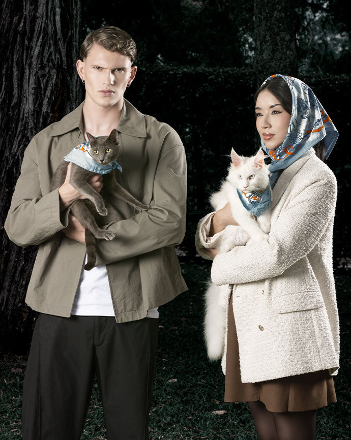 Nueva Colección TIZU Para Gato Takumi | TIZU – tizu.co