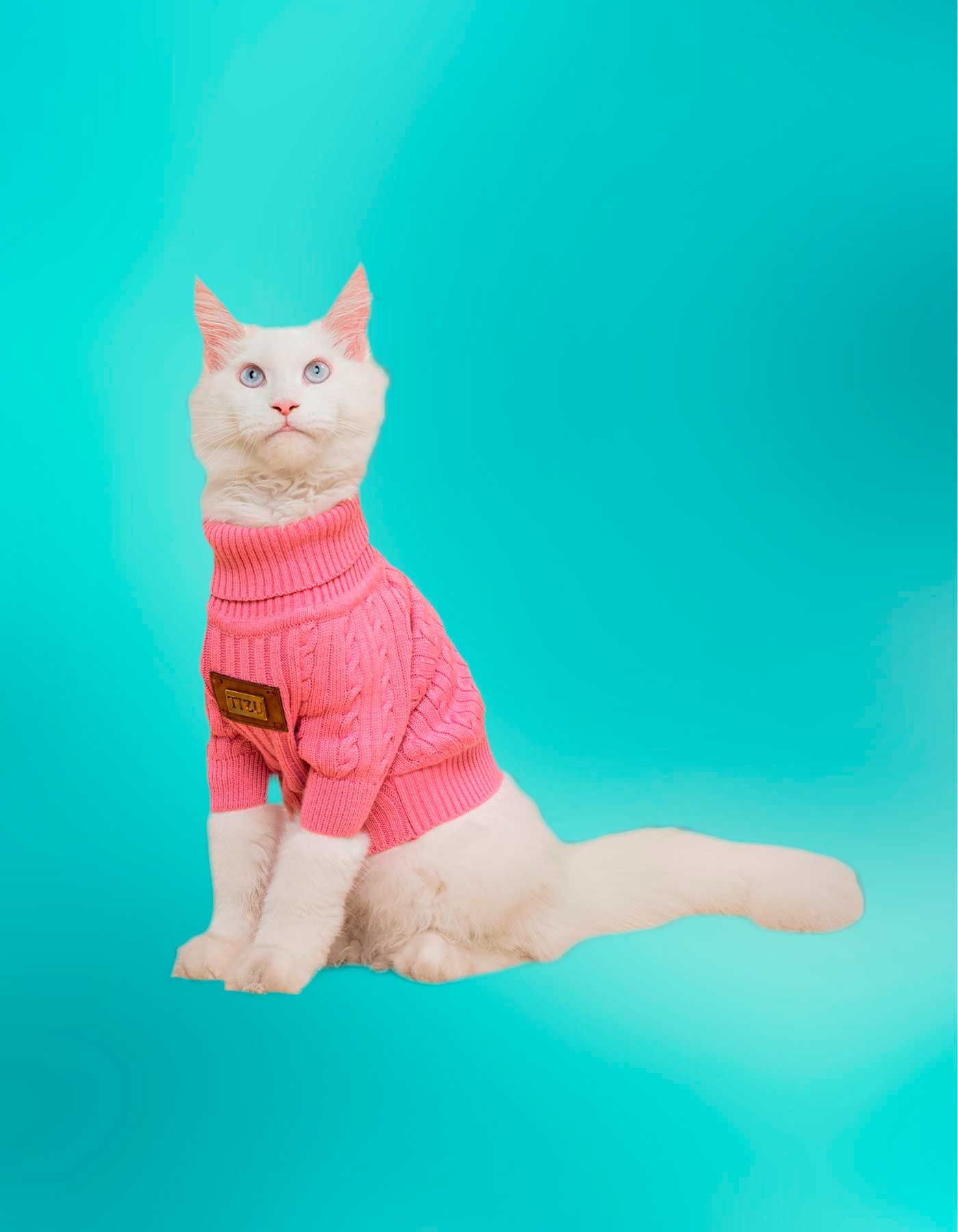 Ropa para Gato | TIZU – Página 2 – tizu.co