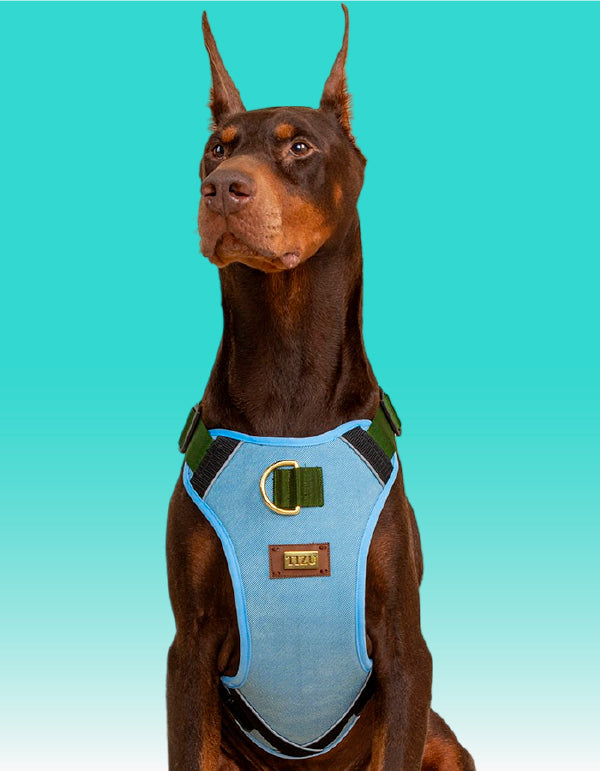 CORSOS TIZU – tizu.co