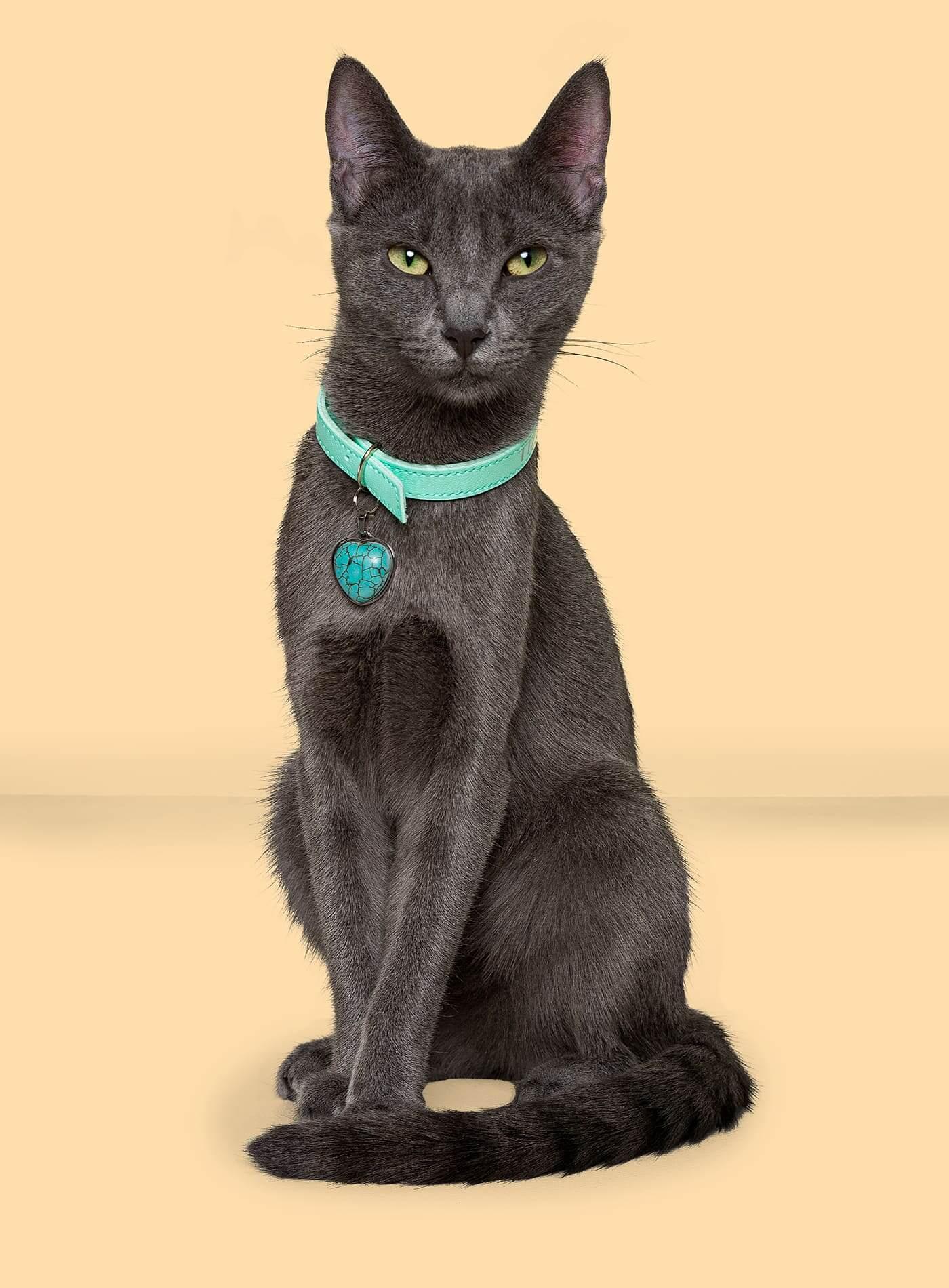 COLLAR COCO CELESTE MIUTH/GATO – tizu.co