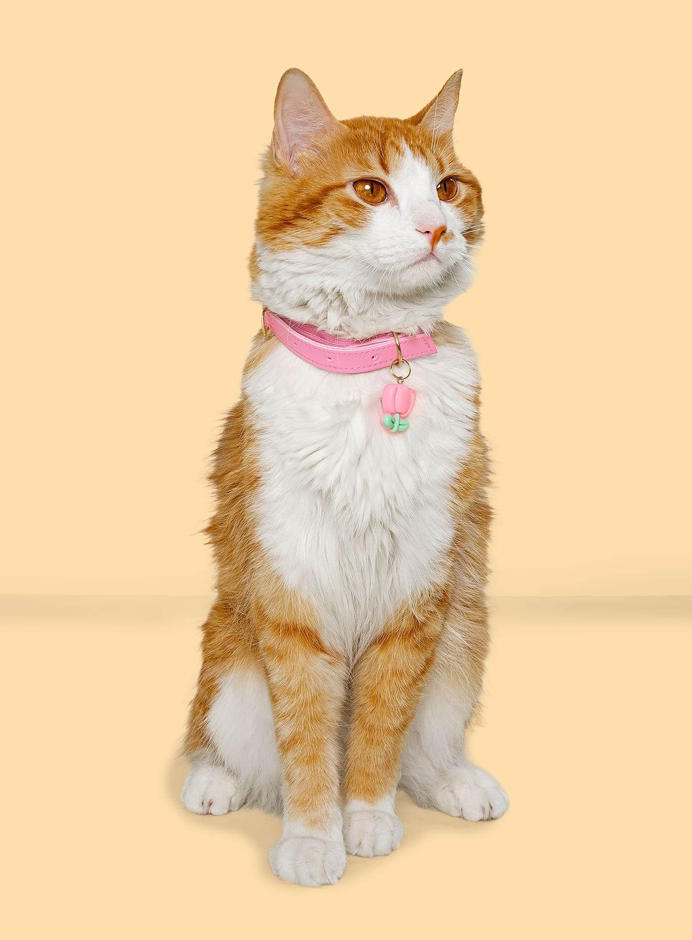 Collier Coco Rosado Miuth – tizu.co