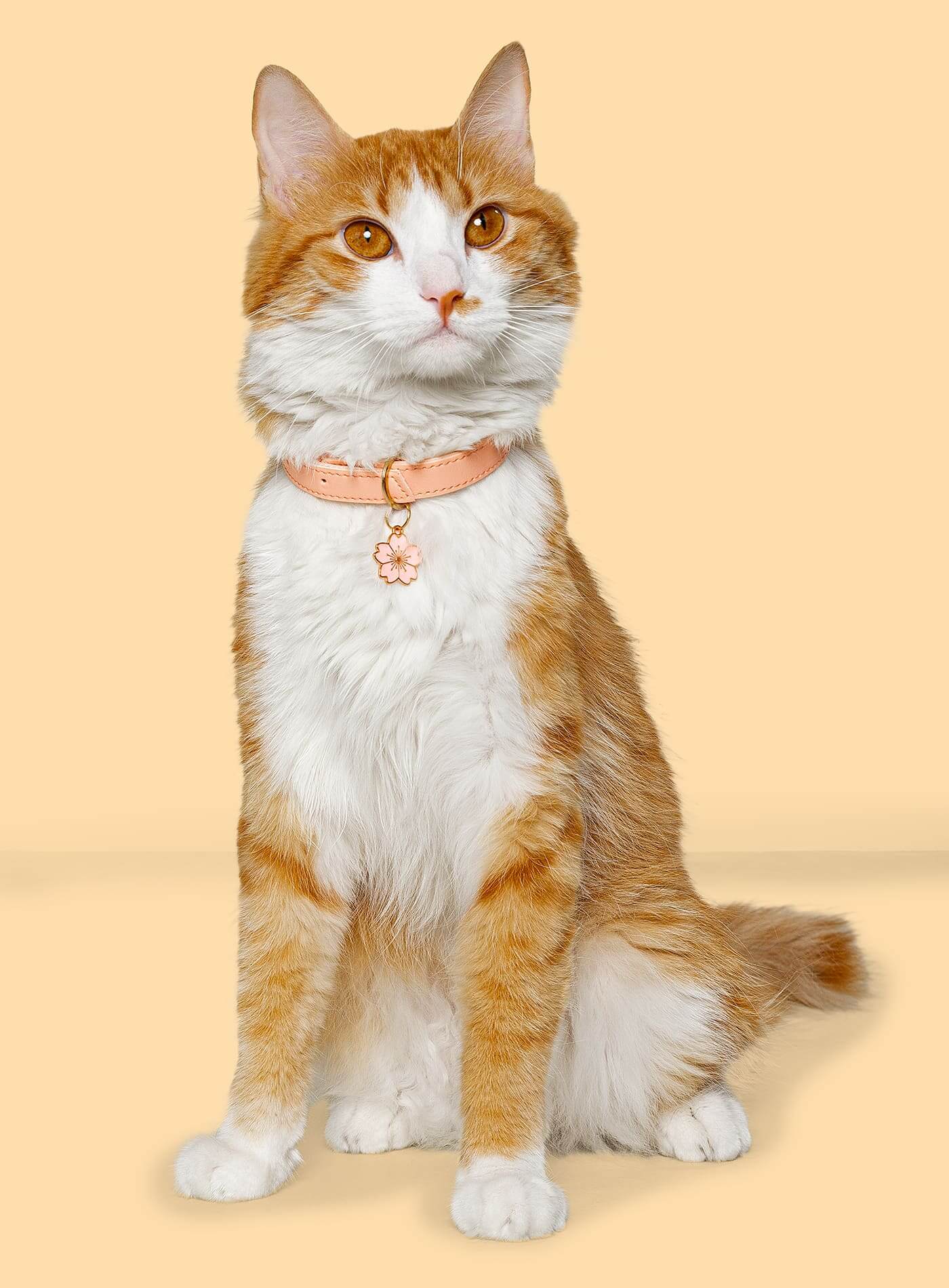 COLLAR COCO MANDARINA MIUTH/GATO – tizu.co