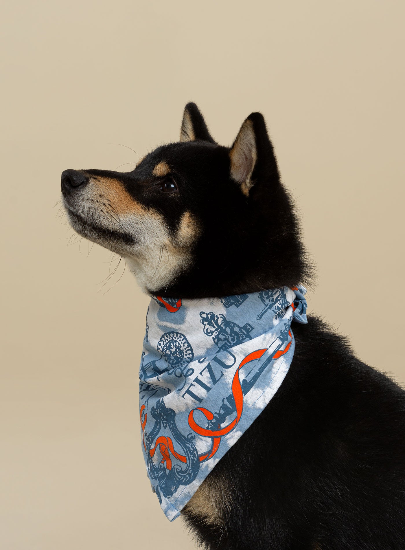 Shikaku Tokio Tizu – tizu.co