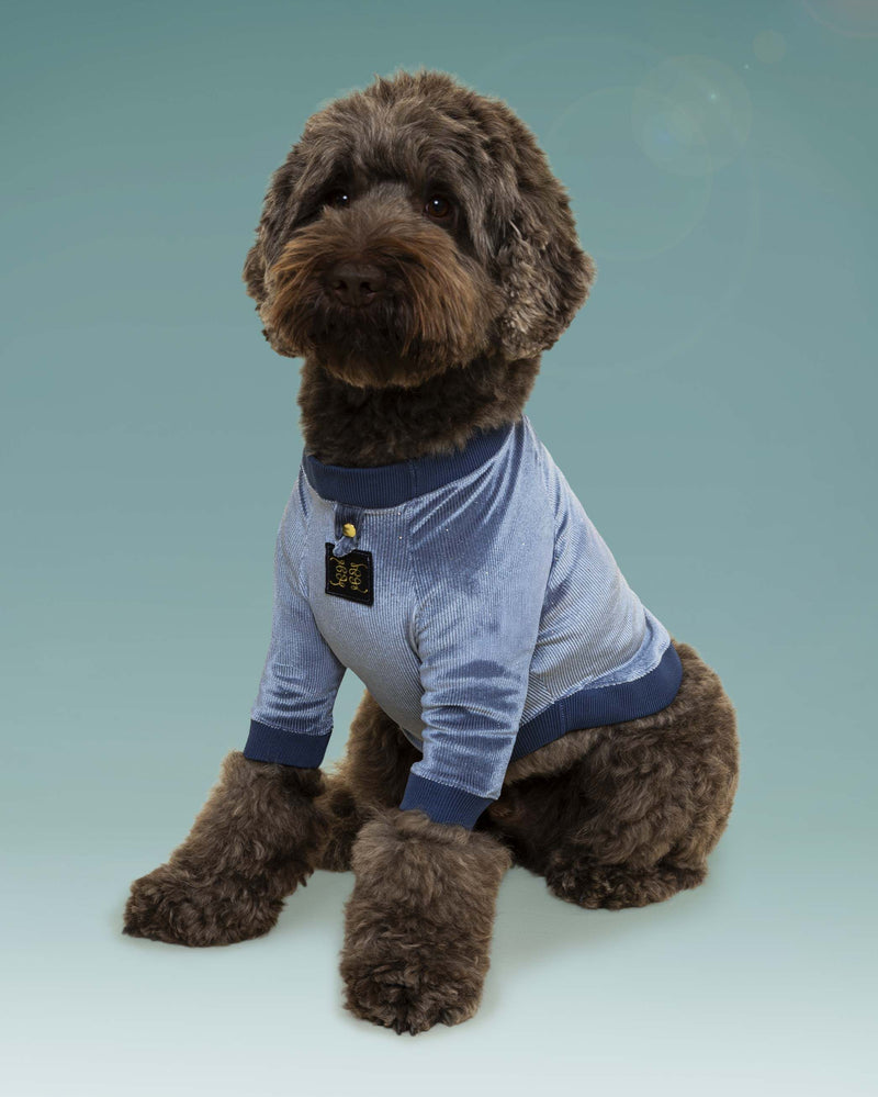 Tizu - Casa de Moda , Belleza y sofisticación para Mascotas – tizu.co